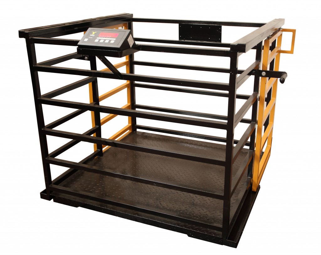 Sheep Scales (12) - Shkila