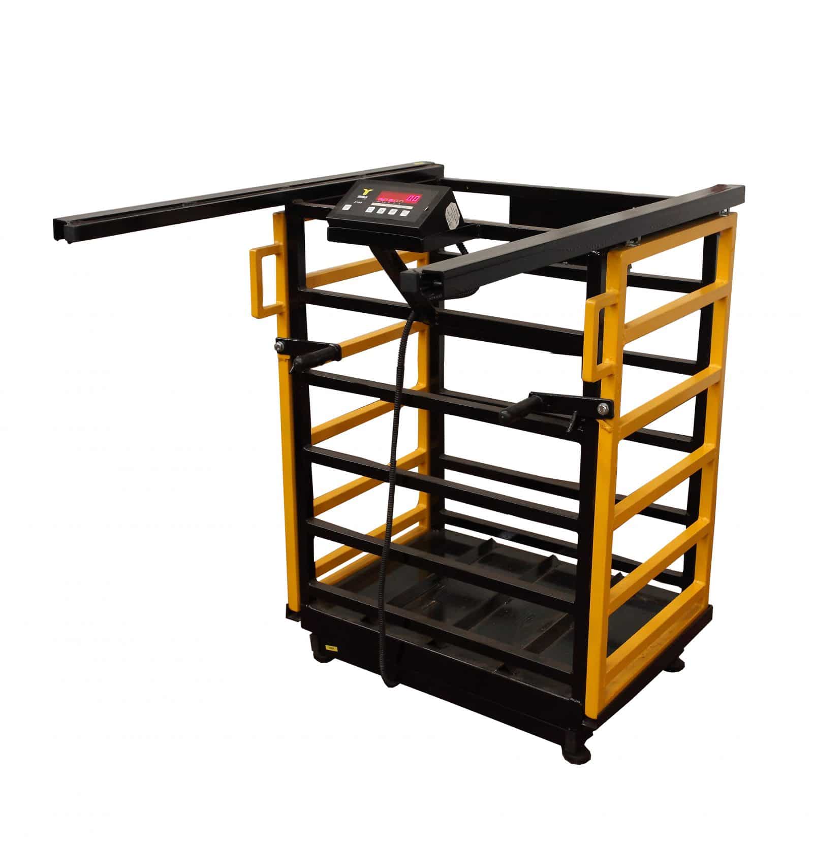 Single Lamb Scales - Shkila