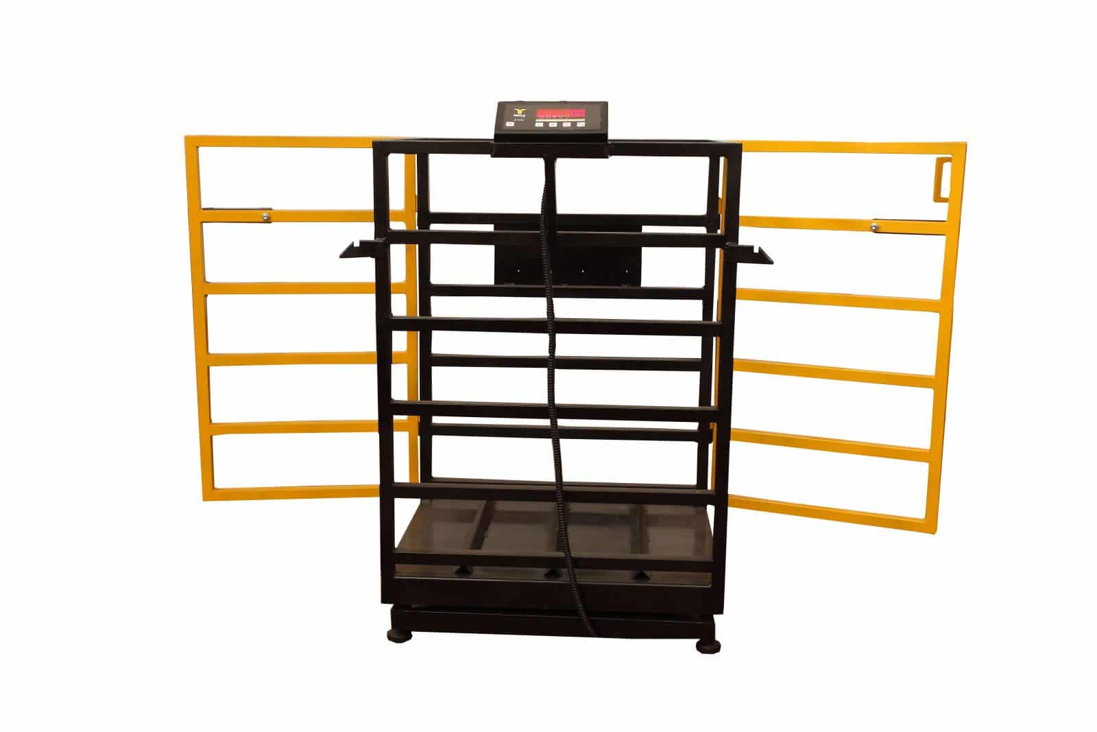 Single Lamb Scales - Shkila